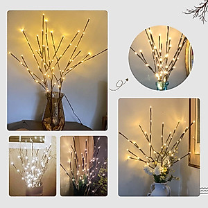 PEIDUO Lighted Willow Branch 30Inch 3PK 60L LED Pathway Lights for Christmas Room Decoration Indoor Apartment Outdoor Stake Lights for Lawn