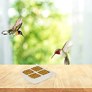 balacoo 4pcs Plastic Birdcage Bird Feeder Food Dish Cage Parakeet Food Bowl Parrot Feeders Water Bowls Cockatiel Drinking Bowls for Parrot Parakeet Cockatiel Bird