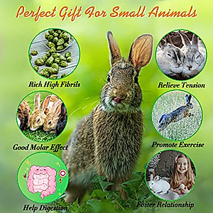 KIROYAL Rabbit Chew Toys Guinea Pig Toys Bunny Toys Natural Timothy Hay Sticks Hamster Chew Toys for Teeth and Apple Sticks for Rabbits Chinchilla Ball Gerbil Toys