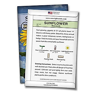 Sow Right Seeds - Mammoth Sunflower Seeds for Planting - Grow Giant Grey Stripe Sun Flowers in Your Garden - Non-GMO Heirloom Seeds with Full Instructions for Planting Bright Sunflowers at Home (1)