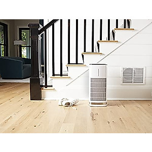 Cuisinart Air Purifier for Large Room/Home, H13 HEPA Filter, CAP-1000
