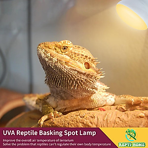REPTI HOME Reptile Heat Lamp-150W Heat Lamp Bulbs for Reptiles, UVA Daily Heat Lamp, Reptile Basking Bulb for Bearded Dragon, Lizard, Turtle, Snake, Gecko (1Pack)