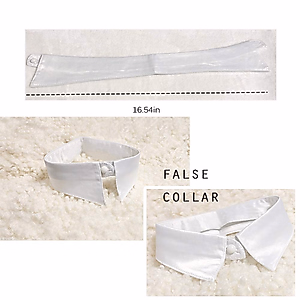 Gracelife Unique Style False Collar Peter Pan Blouse Detachable Choker Necklace Faux Collar (White 15)