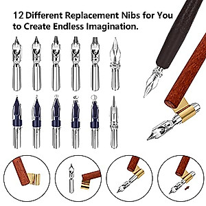 LongLongJin Calligraphy Set for Beginners-calligraphy Fountain Pen,2 Wooden Dip Pen, 12 Replaceable Stainless Steel Tips, 4 Bottles of of Ink,1pen Holder