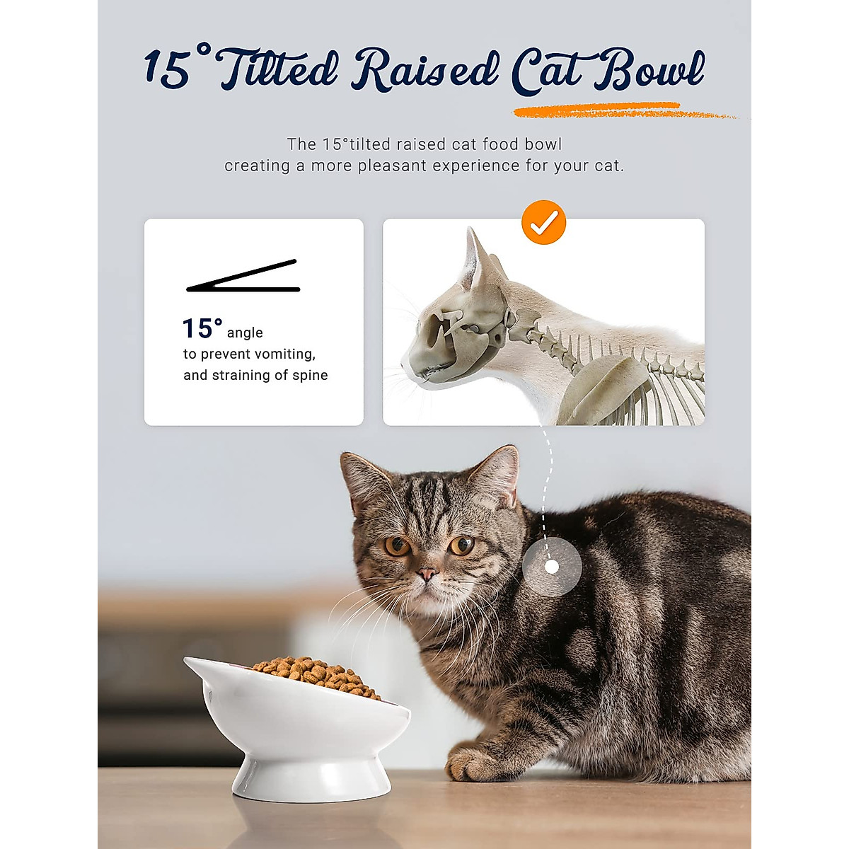 AISBUGUR Ceramic Cat Bowls Set of 2, Elevated 15 Tilted Design for Indoor Cats, Large Capacity, Easy to Clean, Non-Slip Base, Cute Pattern,Pink