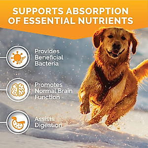 PREMIUM CARE Probiotics for Dogs for Yeast, Itchy Skin and Itchy Ears - Advanced Probiotic for Gut Health, Gut Flora, Bowel Health Support, Diarrhea, Digestive Health & Seasonal Allergies- 120 Chews
