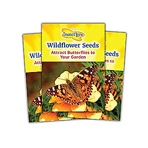 Insect Lore Deluxe Butterfly Feeder with Wildflower Seeds