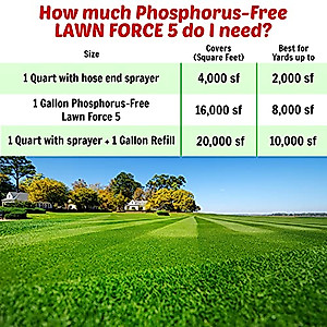 Nature’s Lawn & Garden – Lawn Force 5 Phosphorus Free – Liquid Lawn Fertilizer, Aerator, Dethatcher, with Humic & Fulvic Acid, Kelp Seaweed, and Mycorrhizae – Quart with Hose End Sprayer Attachment