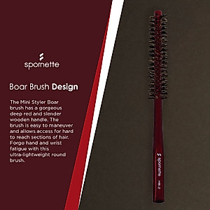 Spornette Mini Styler Boar Bristle .75 inch Round Brush (#HB-2) for Blowouts, Volume, Styling, Finishing, Curling & Setting Short, Curly, Wavy, Straight, Thick, Normal or Thin Hair on Men & Women