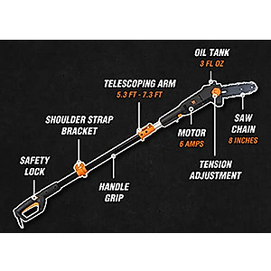 WEN 4019 6-Amp 8-Inch Electric Telescoping Pole Saw