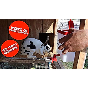 No-Drip 32 Oz Small Animal Drinking Bottle with Metal Cup for Small Pet/Bunny/Ferret/Hamster/Guinea Pig/Rabbit/Chinchilla/Mouse/Rat. BPA-Free.