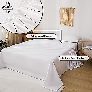 weigelia Queen Comforter Set Boho Bed Comforter Set 7PC Emerald Green Comforters Queen Size Bed in a Bag Soft Microfiber Comforter with Pillow Shams Fitted Sheet Flat Sheet Bedding Set for All Season
