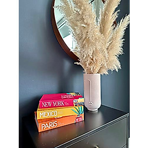 InspireMe Decorative Books for Home Decor, Faux Book Storage Box, Travel Table Books - Paris, New York, Mexico - Set of 3