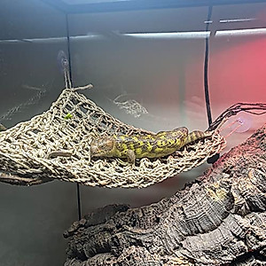 kathson Reptile Habitat Skull Decoration Bearded Dragon Tank Accessories Resin Human Skulls Hide Cave Hanging Vines Plant for Lizards Tortoise Snake Chameleon Spider Reptiles Amphibians(4 PCS)