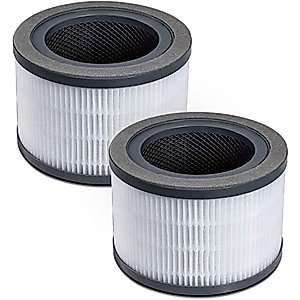 LEVOIT Vista 200 Air Purifier Replacement Filter, 3-in-1 True HEPA, High-Efficiency Activated Carbon, Vista200-RF, 2 Pack, Black
