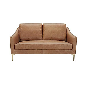 Amazon Brand – Rivet Alonzo Contemporary Leather Loveseat Sofa, 63.8"W, Cognac