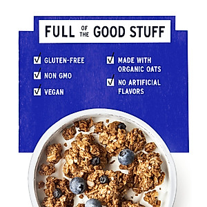 purely elizabeth Ancient Grain Granola Certified Glutenfree Vegan NonGMO Coconut Sugar Delicious Healthy Snack , Blueberry Hemp, 12 Ounce