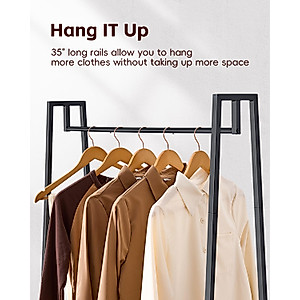 Asgolion Clothing Rack, Clothes Rack for Hanging Clothes, Garment Rack with 2 Shelves and 4 Hooks, Metal Standing Clothes rack for Bedroom, Closet, Rustic Brown