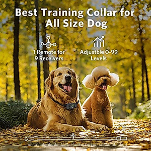 DOG CARE Dog Training Collar for Large Medium Dogs - Dog Shock Collar with Remote, Dog Training Collar with Beep, Vibration, Static Modes, Keypad Lock, 0-99 Adjustable Shock Levels, Long Remote Range