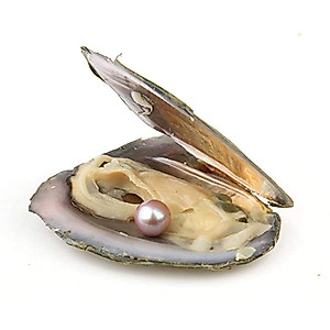 7-8mm Pearl Oyster Cultured Love Wish Round Pearls Oysters with Pearls Inside Mixed Color 5Oyster/lot +1 Necklace(Box Package)