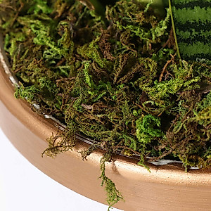 BESPORTBLE 60g Lifelike Artificial Moss Plants Fake Green Lichen Fake Lichen Green Plants for Home Garden Patio Decoration