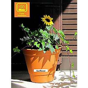 Oozmas Replacement for DYMO 160 Label Maker Refill Label Cassette 1/2 Inch Black on White D1 Label Tape 45013 S0720530 for LabelManager 280 160 360D 420P 450D Refill Cartridge, 3 Pack