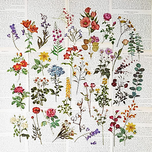 Knaid Flower Eucalyptus Plant Stickers Set (160 Pieces) - PET Transparent Waterproof Decorative Decals for Scrapbook DIY Crafts Album Bullet Journal Planner Water Bottles Phone Cases Laptops