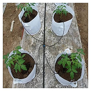 AMBAYZ Hose Connector Adapter 4 Black Drip Arrow Launcher Kit Strawberry Irrigation System Drip Irrigation Launcher Kit Potted Plant Wate+ 8L/H Pc Dripper/30Pcs