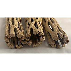 Awesome Aquatic Natural Cholla/Choya Wood 3 Pieces 6” for Shrimp Habitat and Food Treat Hermit Crabs Plecos Aquarium Decoration Lowers pH Hideouts and Chew Toys Reptiles Thorn Free Dried Organic