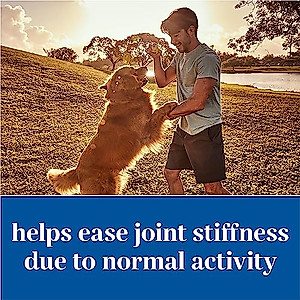 EverRoot Dog Supplement Dog Hip and Joint Supplement Oil with Salmon Oil and Green Lipped Mussel - 16 oz. Bottle