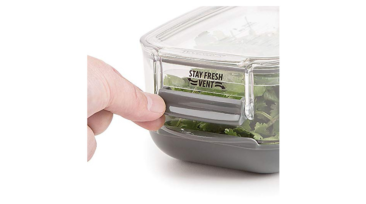 Berry ProKeeper – Keep Fruits Fresh Up to 2x Longer
