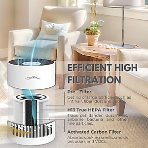 FIXAIR portable air purifier for home H13 true HEPA, air cleaner for smoke, for large room, office, bedroom, pets, odors, pollen, dander, dorm room, with essential oil diffuser and sleep mode.