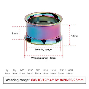 TBOSEN Set of 12 pcs Stainless Steel Ear Plugs Large Double Flare Alloy Gauges Stretching Screw Fit Tunnels Gauge 2g - 1 inch