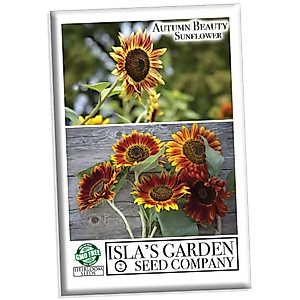 "Autumn Beauty" Sunflower Seeds for Planting, 150+ Flower Seeds Per Packet, (Isla's Garden Seeds), Non GMO Seeds, Scientific Name: Helianthus annus, Great Home Garden Gift