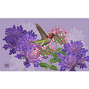Toland Home Garden 800238 Hummingbird and Flowers Summer Door Mat 18x30 Inch Bird Outdoor Doormat for Entryway Indoor Entrance