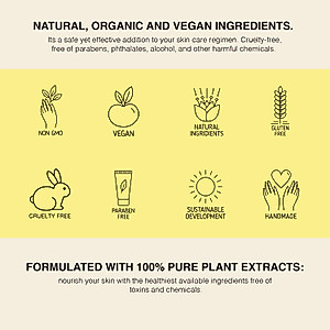 Vitamin-C Face Mist and Setting Spray for All Skin Types - Enhanced with Hyaluronic Acid, Aloe Vera and Rose Water - Skin Brightening, Anti-Aging, Moisturizing, Pore Minimizing - 4 Fl Oz