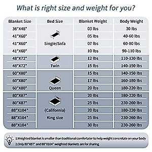 Smart Queen Weighted Blankets Adult (15 lbs, 48"x 72", Twin Size) Heavy Blanket, Premium Cotton with Natural Glass Beads