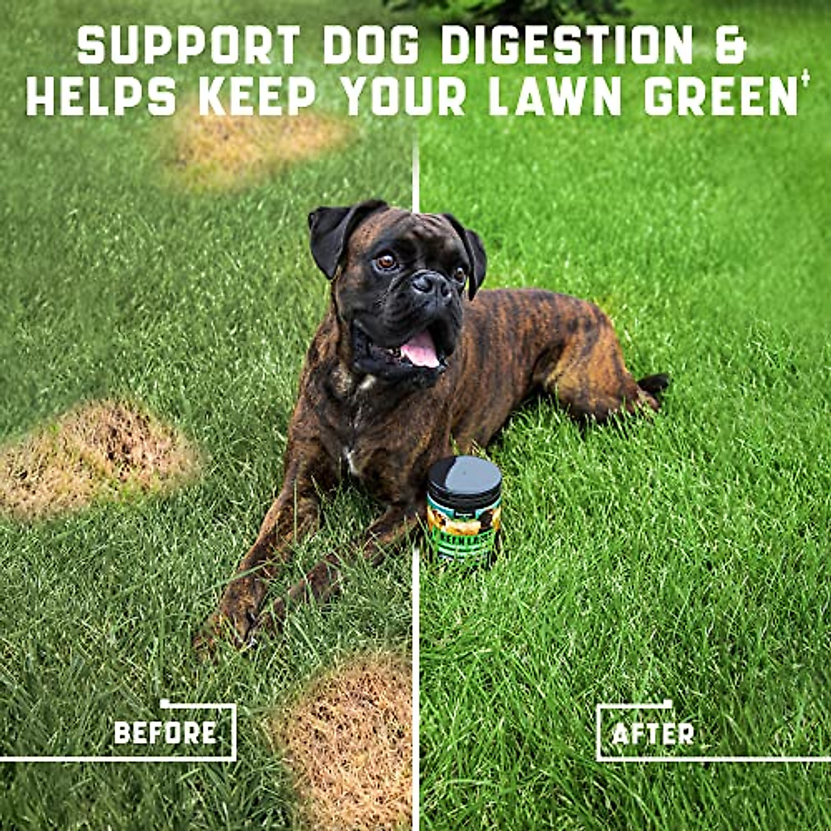 Green Lawn Chews for Dogs - Cranberry, ACV, Digestive Enzymes - Natural Dog Urine Neutralizer for Lawn - Supports Healthy Bladder, Urinary Tract - 180 Tasty Dog Treats for Yellow Burn Grass Spots