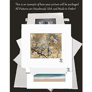 Yellow and Brown Rustic Flowers Moon Photography Art Matted Wall Decor Picture