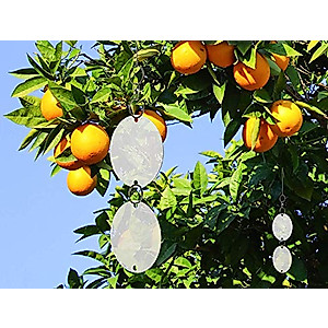 Monarchy Solutions Premium Metal Bird Deterrent Discs 16 Discs Set Reflective Hanging Device to Keep Birds Away Like Woodpeckers, Pigeons, Ducks, Herons, Grackles, Geese & Pest , Bird Blinder disks