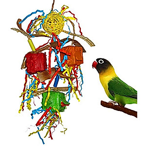 Fetch-It Pets 2 Pack Bird/Parrot Surprise Box Fundangle & Fiesta Foraging Toys Suitable for Small Parakeets, Cockatiel, Conures, Finches, Budgie, Macaws, Parrots, Love Birds