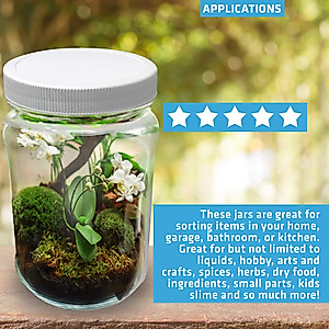 CSBD 32 Oz Clear Plastic Mason Jars With Ribbed Liner Screw On Lids, Wide Mouth, ECO, BPA Free, PET Plastic, Made In USA, Bulk Storage Containers, 4 Pack (32 Ounces)