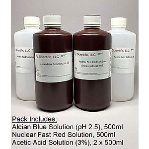 Alcian Blue (pH 2.5) Stain Pack, 500ml