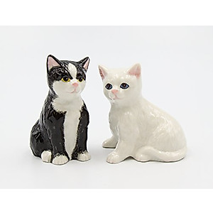 Cosmso Gifts 20759 Black and White Cats Salt and Pepper Shakers