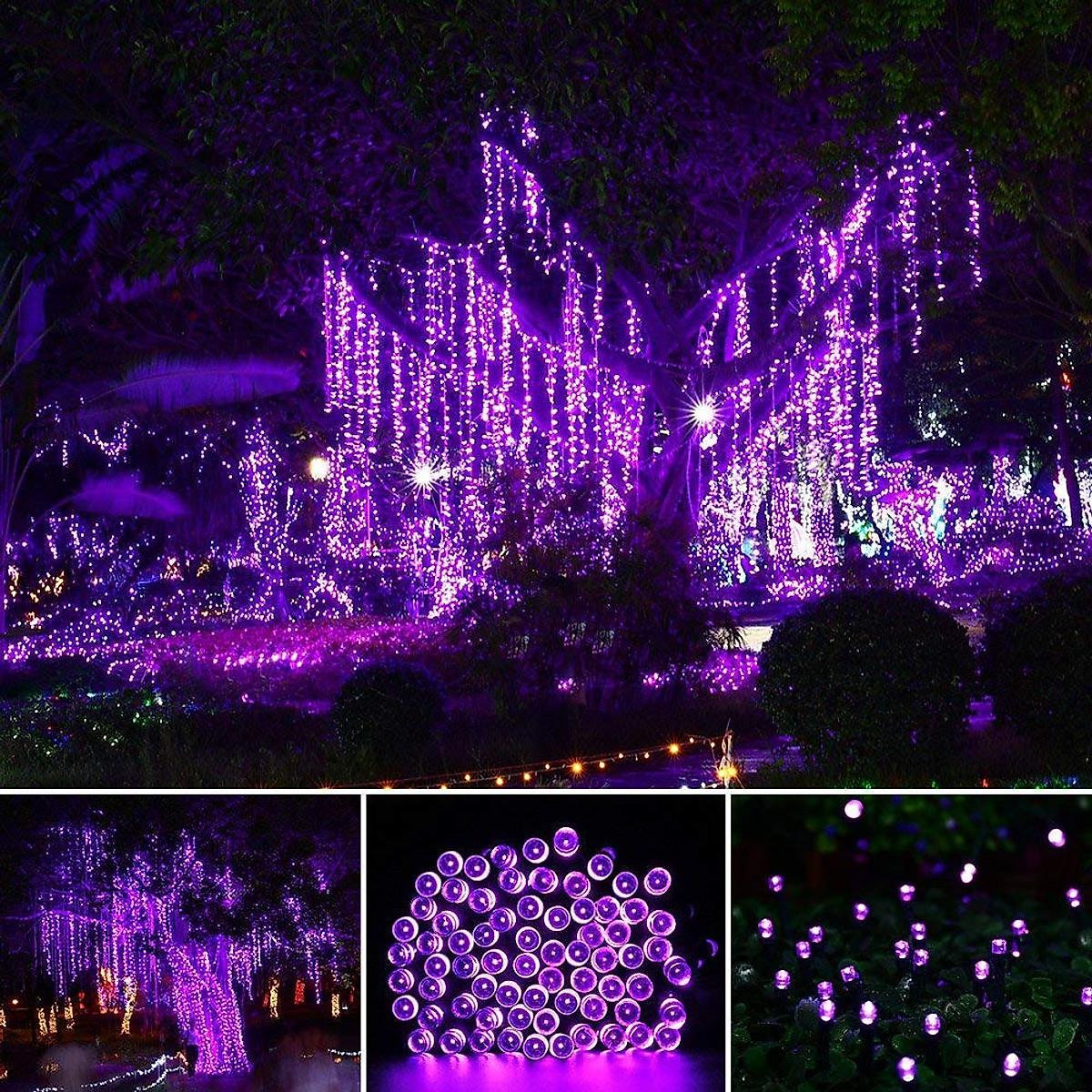 String Lights Fairy Lights 66 Feet 200 LED with Multi Flashing Modes Controller, Waterproof LED Lights Decorations for Bedroom, Wedding, Party, Garden, Patio, Indoor Outdoor Occastions (Purple)