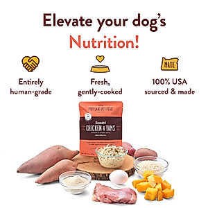 Portland Pet Food Company Tuxedo’s Chicken & Yams Wet Dog Food Pouches - Human-Grade, Gluten-Free Dog Food Toppers and Meals for Small, Medium and Large Breeds - Fresh Dog Food Made in the USA - 5-Pk