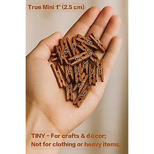 LWR CRAFTS Wooden Mini Clothespins 100 Per Pack 1" 2.5cm (Jacobean)