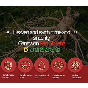 Gangwoninsam] Korean Red Ginseng Extract Gold 120g / 4.23 fl. oz – Contains 100% Pure Korean 6-Year-Old Red Ginseng Root Extract