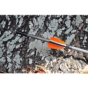 Pocket Shot Arrows (3 Pack)- 30 inch with Practice Tips-Small Feathered fletchings