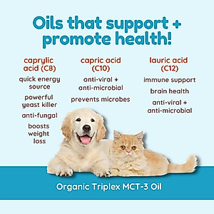 CocoTherapy Triplex MCT-3 Oil, Non-GMO, 100% Pure and Natural, 8 oz.